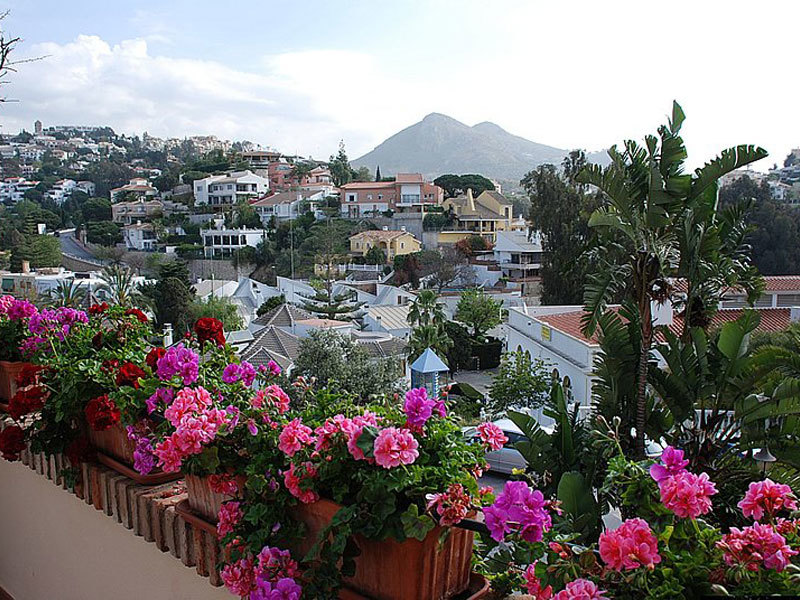 Школа испанского языка Malaca Instituto (Малага) | Обучение в Испании ...