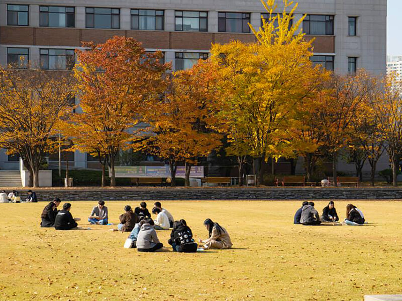 Университет Сан Мун (Sun Moon University) | Обучение в Южной Корее ...